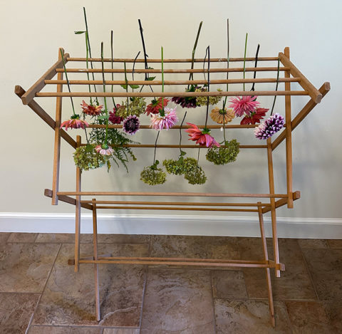 Dried Flower Fun | GardenLady.com