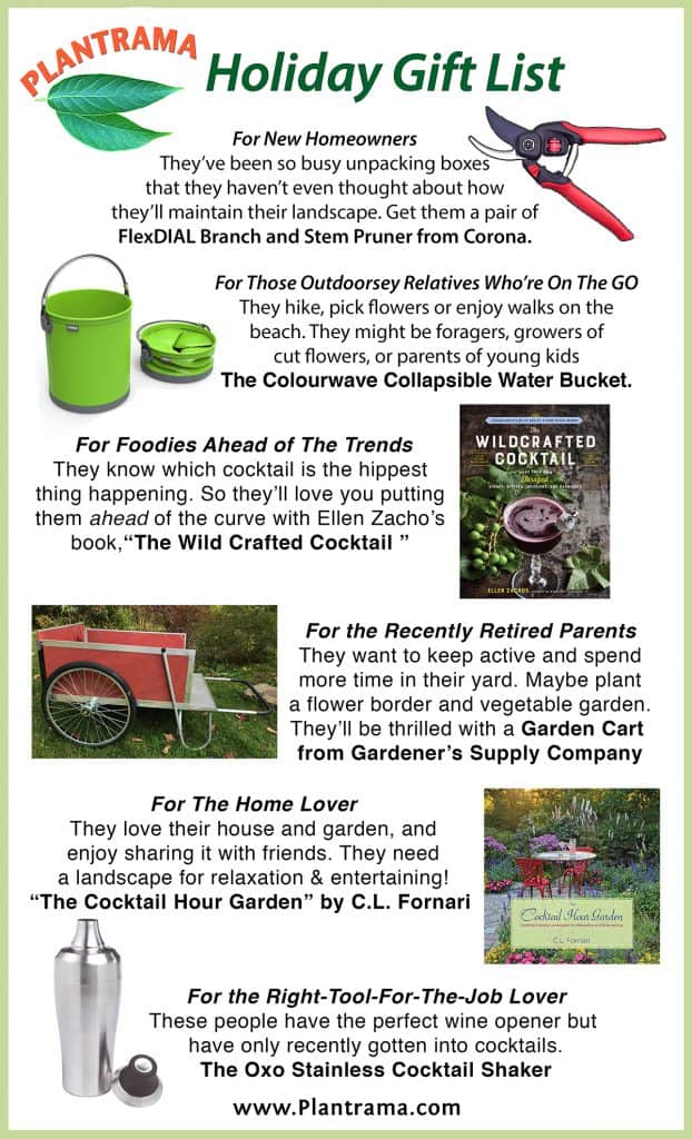 Problem Solving Holiday Gift List | GardenLady.com