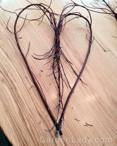 How To Make Twig Hearts | GardenLady.com