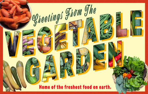 Postcards From Plants | GardenLady.com